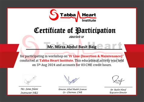 Mirza Abdul Basit Baig Pdf