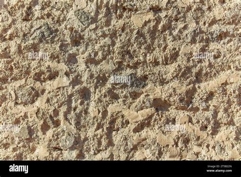 Stone Shell Rock Texture Background Texture Of Shell Rock Limestone