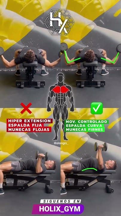 Fly Con Mancuerna Es Un Ejercicio Que Te Puede Ayudar A Trabajar El