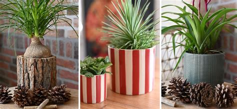 Dekker Decoration Tica