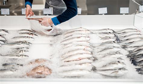 Seafood Processing Solutions Essential Equipment For Streamlined