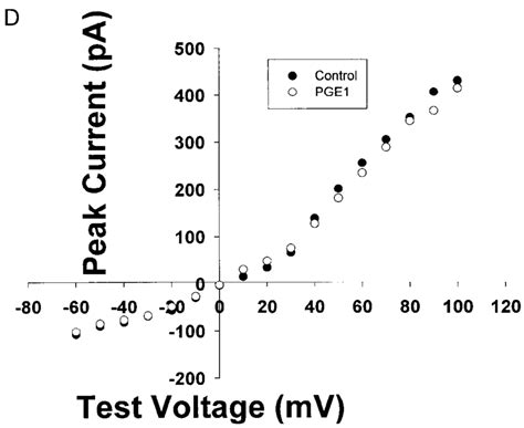 Whole Cell K Current Recording From A Freshly Isolated Corporal Download Scientific Diagram