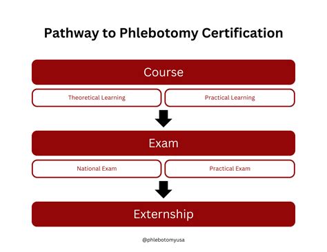 What To Expect From Your Phlebotomy Course Phlebotomy Usa