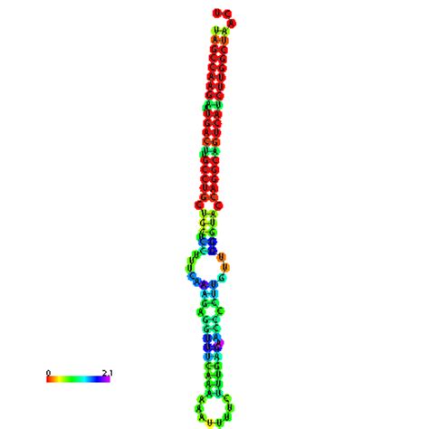 Grap Platform Of Functional Genomics Analysis In Gossypium Raimondii