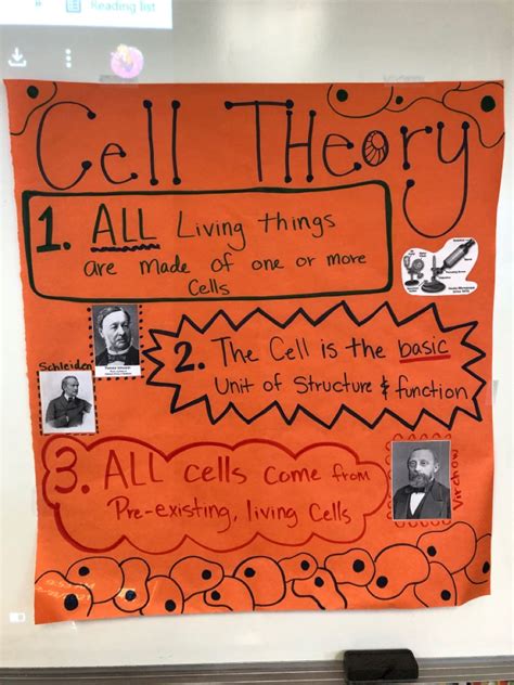 Cell Theory Anchor Chart