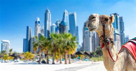 Eco Friendly Travel In Uae Sustainable Tourism Tips