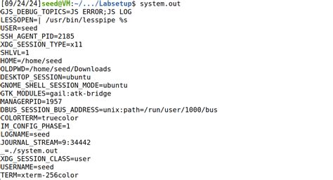 Seedlab—环境变量与 Set Uid 实验 Smera1d0s Blog