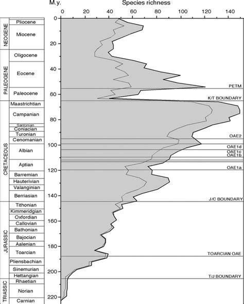 Fossil Focus Calcareous Nannofossils The Best Things Are Microscopic