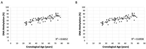A Sex Specific Minimal Cpg Based Model For Biological Aging Using Elovl2 Methylation Analysis