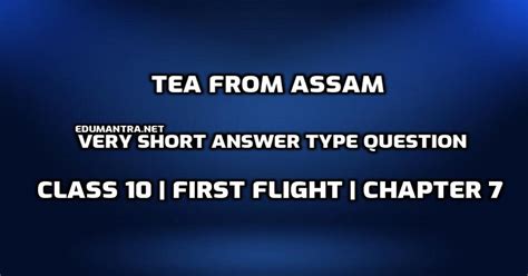 Tea From Assam Very Short Answer Type Question Assumption Creativity