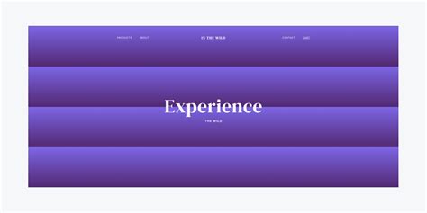 Background Styles Webflow University Documentation