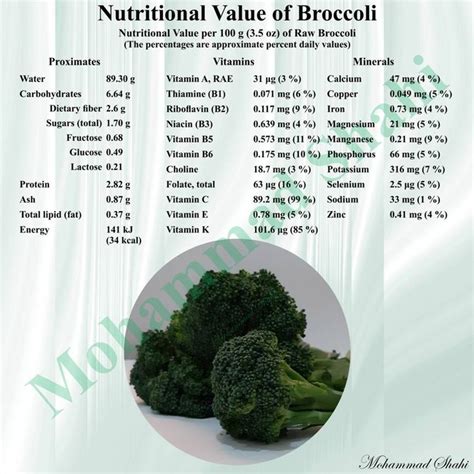 How Many Vitamins In A Broccoli At Sebastian Bardon Blog