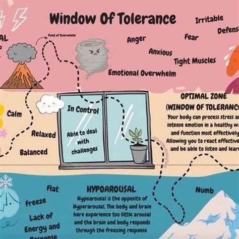 Understanding The Window Of Tolerance A Path To Managing Stress And