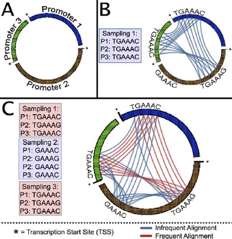 an illustration of the weighted clustering coefficient behavior of the