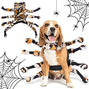 Dog Spider Costume 7 Options Perfect For Halloween Dodowell The Dodo
