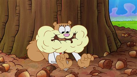 Spongebuddy Mania Spongebob Episode Sandys Nutmare