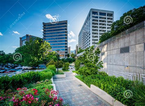 Jardinera Con Edificio Azul