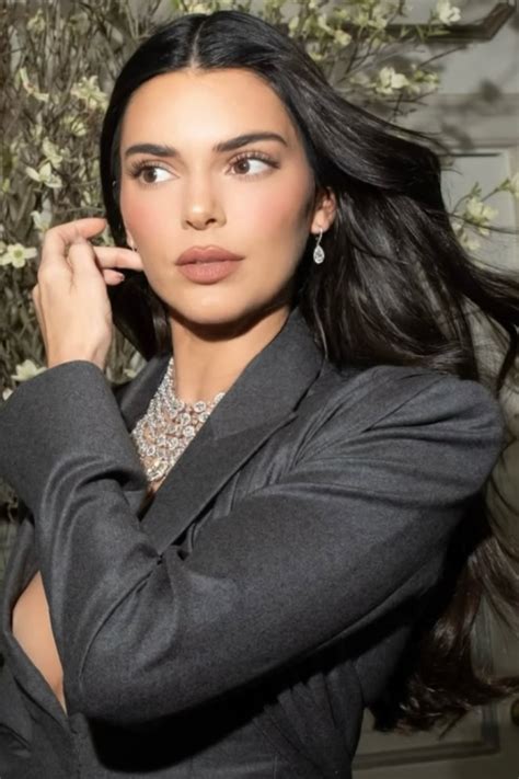 Kendall Jenners Hairstyles And Hair Colors Steal Her Style