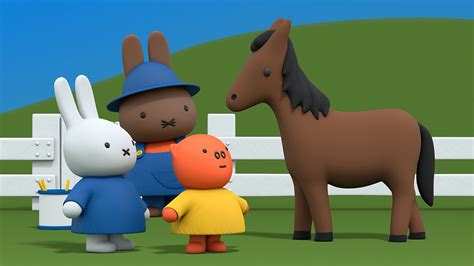 Miffys Adventures Big And Small Abc Iview