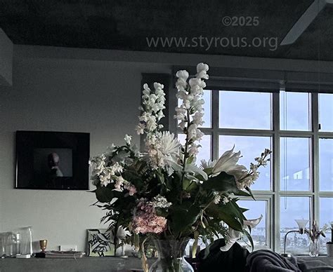 The Styrous® Viewfinder One Week On