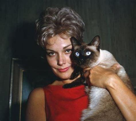 20 Lovely Photos Of Kim Novak With Her Cat Pyewacket In Bell Book And Candle” 1958