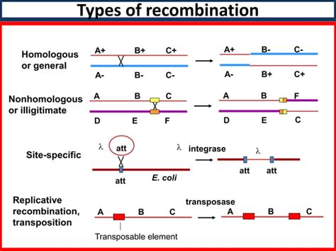 Recombination Finalppt