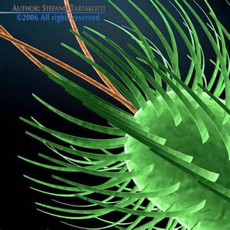3d Microscope Cells Bacteria Virus Model