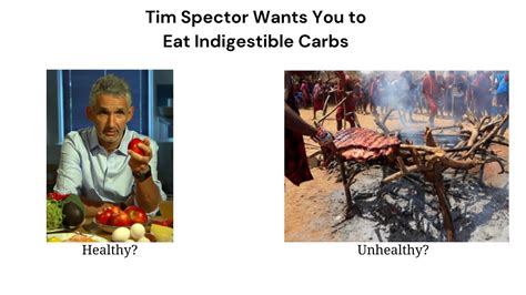 Is Fiber Healthy Zoetim Spector Response Youtube