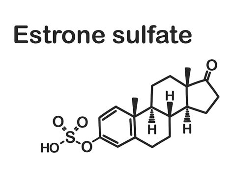 Fórmula Química Estructural Del Sulfato De Estrona Vector Premium