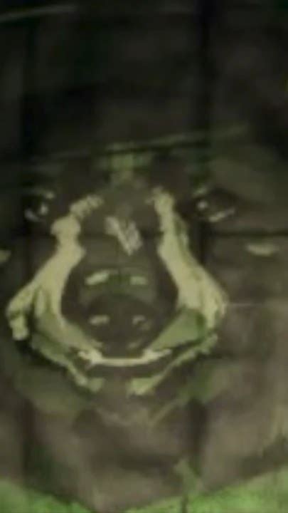 Bear Phasmophobia Youtube