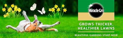 Miracle Gro Patch Magic Grass Seed Feed And Coir 36kg 48 Patches