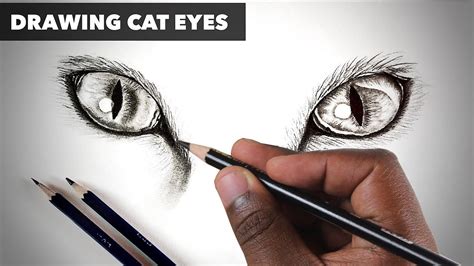 Realistic Cat Eye Drawing