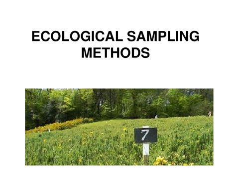 Ppt Ecological Sampling Methods Powerpoint Presentation Free