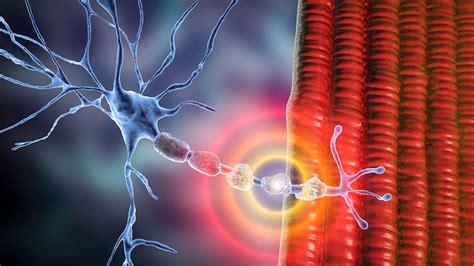 Supporting People With Motor Neurone Disease Through Occupational