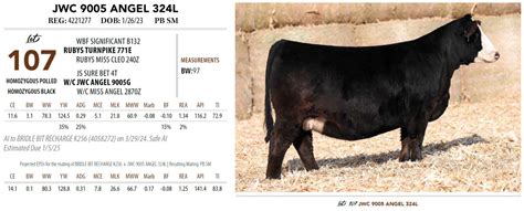 Lot 107 Jared Werning Cattle Annual Simmental Bull And Female Sale Dvauction