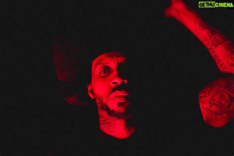 Stephen Voyce Wiki Biography Age Gallery Spouse And More