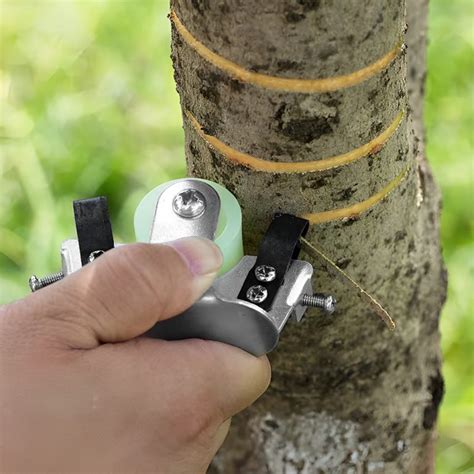 Tree Girdling Tool Usamericashop