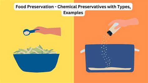 Food Preservation Chemical Preservatives With Types Examples