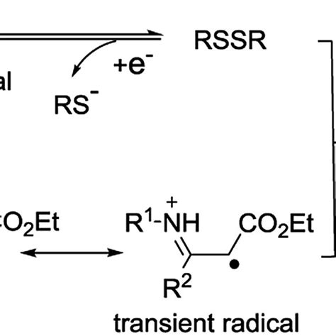 Selective Radicalradical Cross Coupling Between Enamines And Thiols