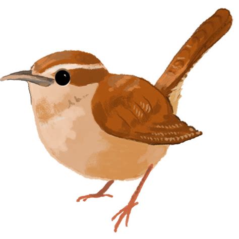 Pamplemoose On Tumblr