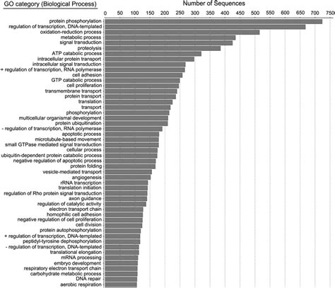Gene Ontology Go Term Classification By Biological Process Bp For