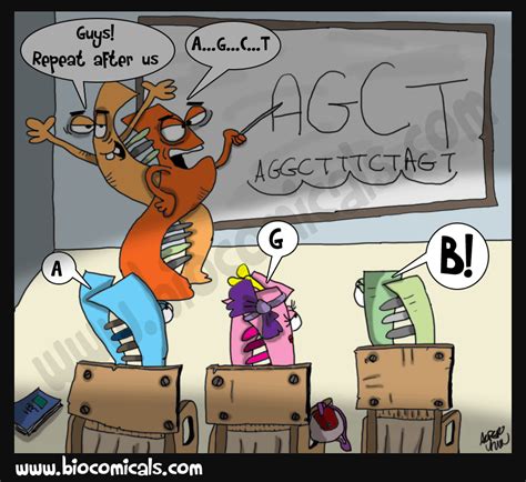 Memes In Bioinformatics