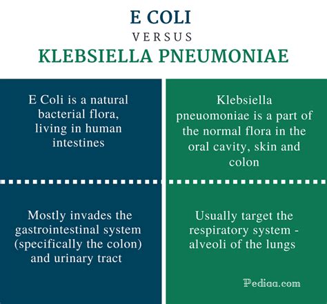 Difference Between E Coli And Klebsiella Pneumoniae Clinical