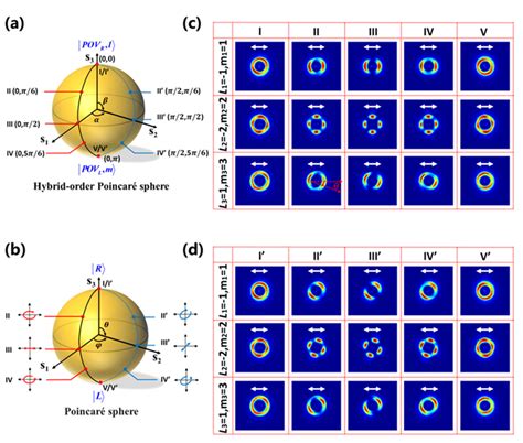 Characterization Of The Generated Ppbs A The Selected States Of Ppbs