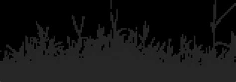 Bird Monitoring Tracking Avian Populations For A Healthier Planet Bird Conservancy Of The Rockies