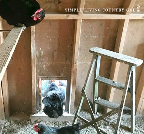 Chicken Roost Designs Simple Living Country Gal