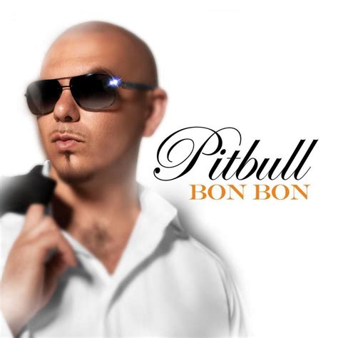 Pitbull Rapper Wallpapers Wallpaper Cave