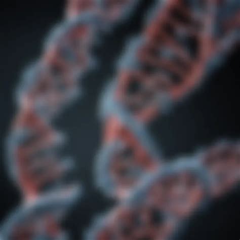 Understanding T7 Rna Polymerase Processivity