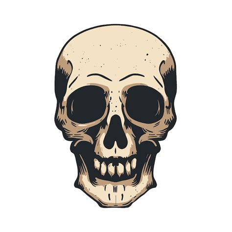 Premium Vector Skull Vector